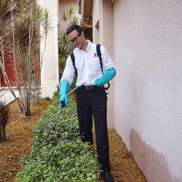 South FL Pest Control & Termite Control | Hulett
