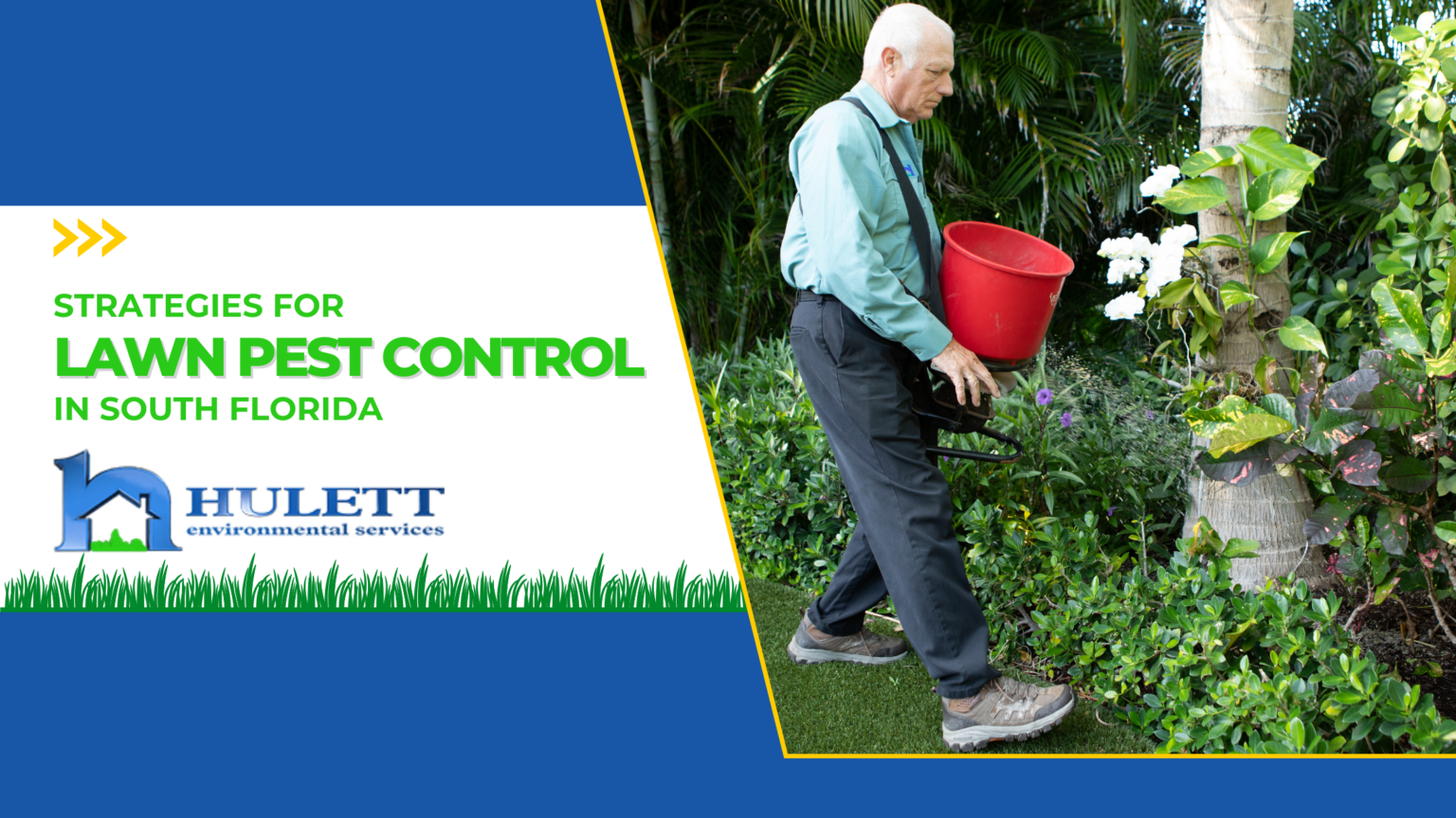 Strategies for Lawn Pest Control in South Florida | Bugs.com