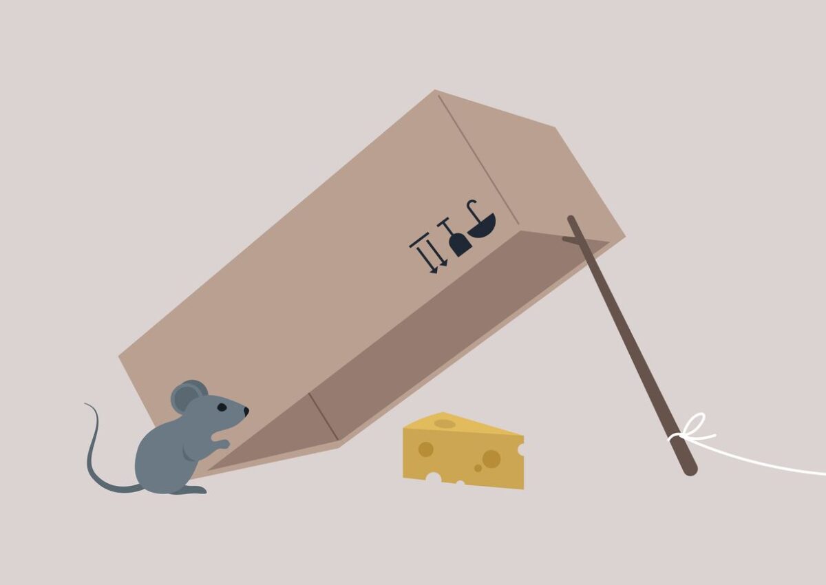 When DIY Rodent Control Fails | Hulett Environmental Services