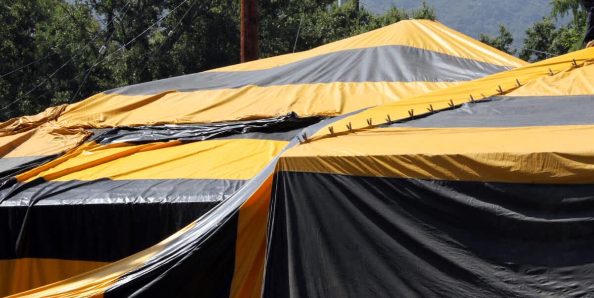 Understanding Tenting for Termites | Bugs.com